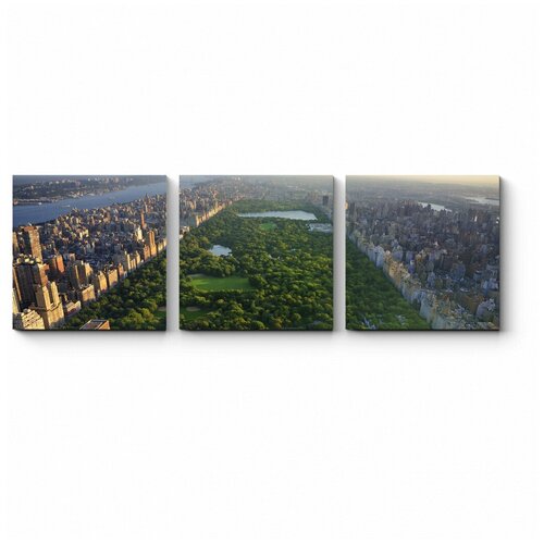 Модульная картина Центральный парк с высоты птичьего полета 130x43