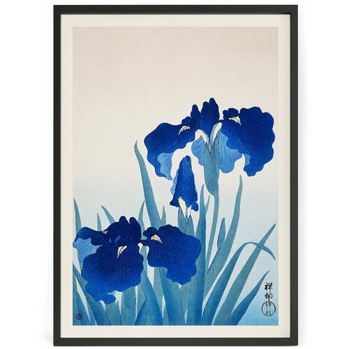 Постер на стену Японская гравюра Укие-э Катё-га - Цветы ириса 70 x 50 см в тубусе