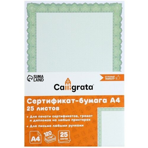 Calligrata Сертификат-бумага А4, 25 листов Calligrata "Зеленый орнамент", 120 г/м2