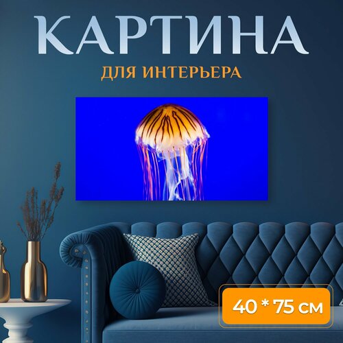 Картина на холсте "Медуза, животное, вода" на подрамнике 75х40 см. для интерьера
