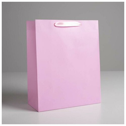 Пакет подарочный «Розовый», 26 х 32 х 12 см