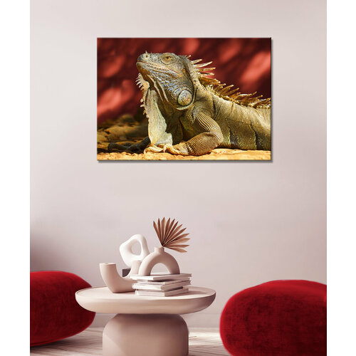 Картина -Игуана, мадагаскарская игуана, коричневая игуана (19) 20х30