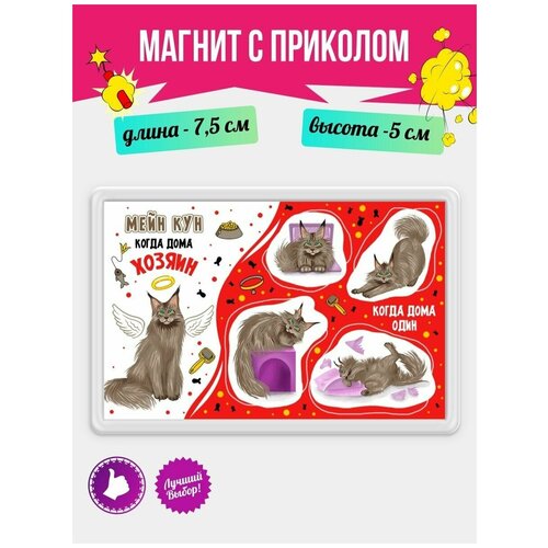 Магнит с рисунком котов разных пород Когда дома один Мейн Кун. Магнитик на доску с рисунком из акрила на подарок