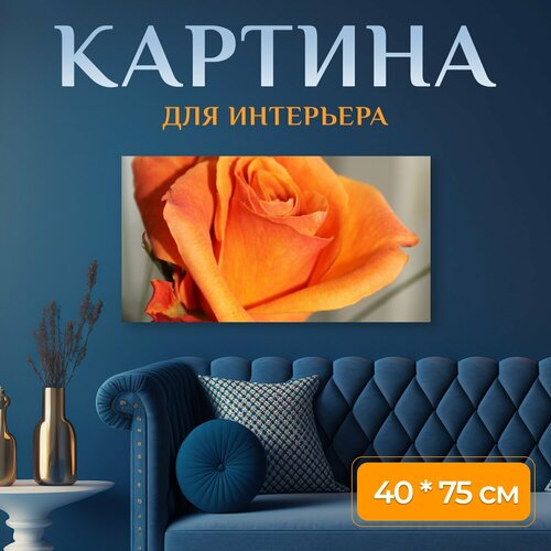 Картина на холсте "Роза, апельсин, благородная роза" на подрамнике 75х40 см. для интерьера