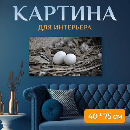 Картина на холсте "Яйца, гнездо, голубь" на подрамнике 75х40 см. для интерьера