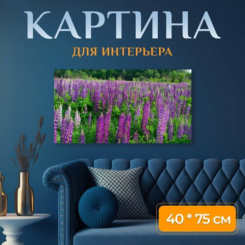 Картина на холсте "Цветы, поле, весна" на подрамнике 75х40 см. для интерьера