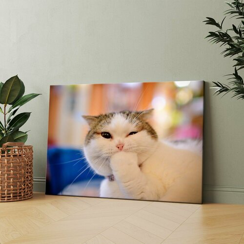Картина на холсте (Довольный котик) 40x60 см. Интерьерная, на стену.