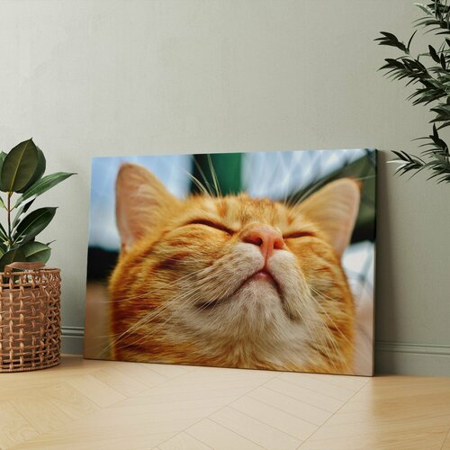 Картина на холсте (рыжий кот чихающий хитрый) 60x80 см/для интерьера/в комнату/на стену/в подарок