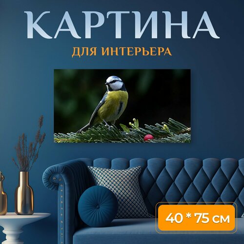 Картина на холсте "Птица, синица, лазоревка" на подрамнике 75х40 см. для интерьера
