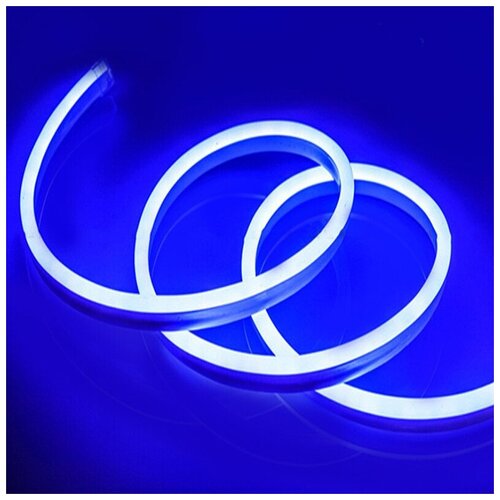 Неоновая светодиодная лента DLED 100м, 8х16мм, 220V AC, 120 LED/m, IP 67, гибкий неон, синий