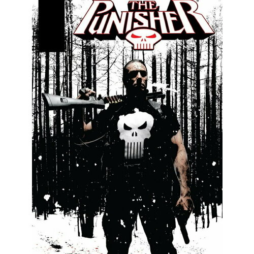 Плакат, постер на бумаге Punisher/Каратель/игровые/игра/компьютерные герои персонажи. Размер 30 х 42 см