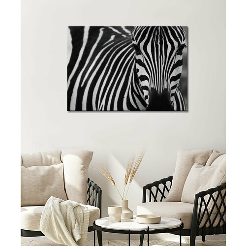 Картина - Зебра, полосатая зебра, красивая зебра, глаза зебры (25) 40х60