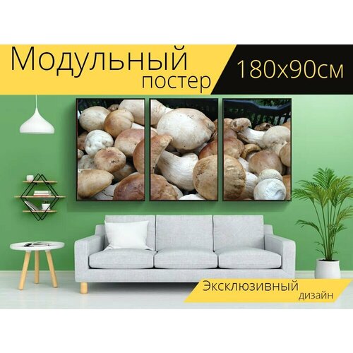 Модульный постер "Белый гриб, свежий, гриб" 180 x 90 см. для интерьера