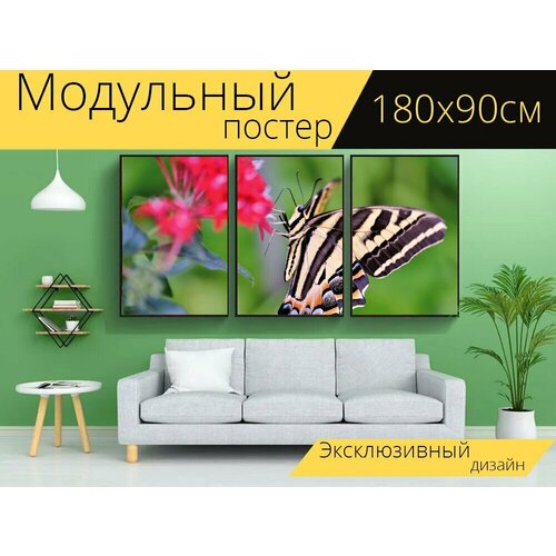 Модульный постер "Ласточкин хвост, бабочка, тропические бабочки" 180 x 90 см. для интерьера