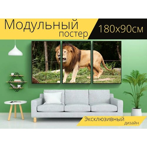 Модульный постер "Лев, король джунглей, животное" 180 x 90 см. для интерьера