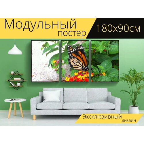 Модульный постер "Бабочка, монарх, бабочка монарх" 180 x 90 см. для интерьера