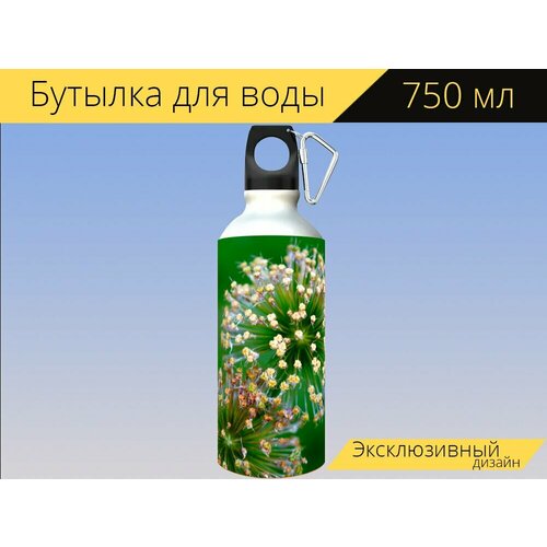 Бутылка фляга для воды "Декоративные лук, цветок, блеклый" 750 мл. с карабином и принтом