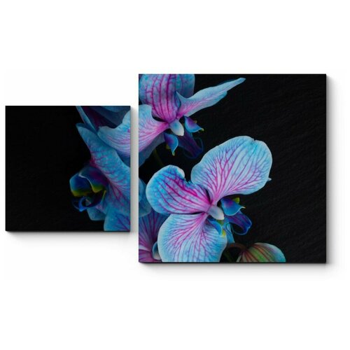 Модульная картина Голубая орхидея80x48
