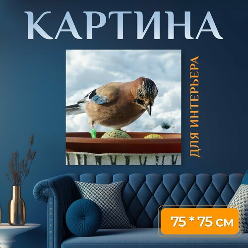 Картина на холсте "Птица, сойка, законопроект" на подрамнике 75х75 см. для интерьера