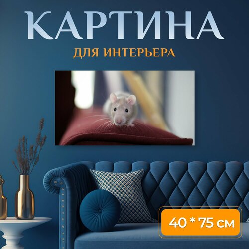 Картина на холсте "Мышь, крыса, животное" на подрамнике 75х40 см. для интерьера