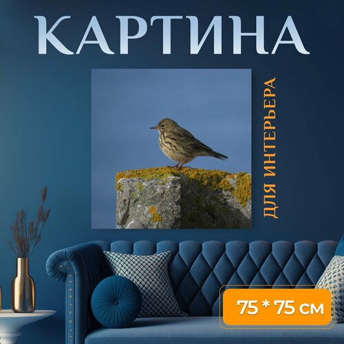 Картина на холсте "Конёк, птица, животное" на подрамнике 75х75 см. для интерьера