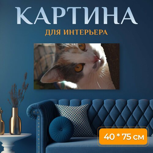 Картина на холсте "Кот, китти, талисман" на подрамнике 75х40 см. для интерьера