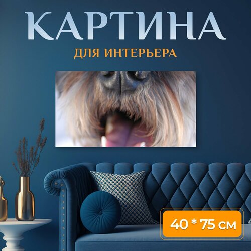Картина на холсте "Собака, морда, открытый рот" на подрамнике 75х40 см. для интерьера