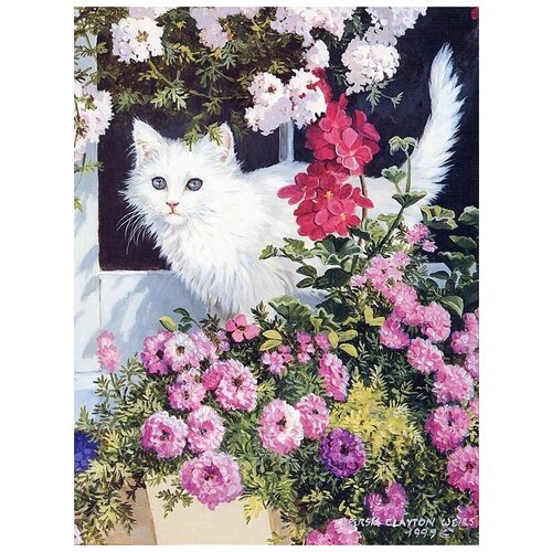 Постер на холсте Кошка (Cat) №3 40см. x 53см.