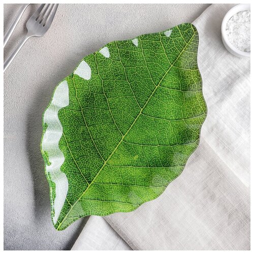 Блюдо сервировочное Доляна "Лист", 31х19х2 см, цвет зелёный