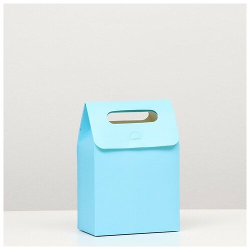 Коробка-пакет с ручкой, голубая, 19 х 14 х 8 см(5 шт.)