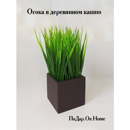 Искусственная трава в ящике для дома и офиса, ПоДар. Ок Home