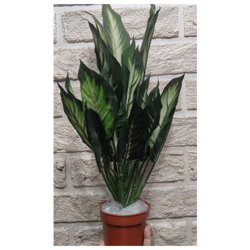 Искусственное растение Диффенбахия 51 см. зеленый
