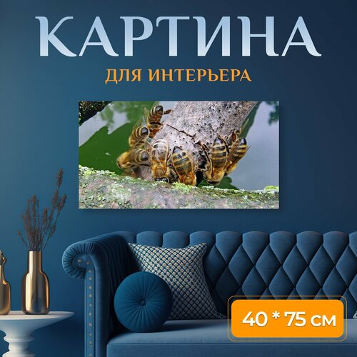 Картина на холсте "Природа, вода, пчела общие" на подрамнике 75х40 см. для интерьера