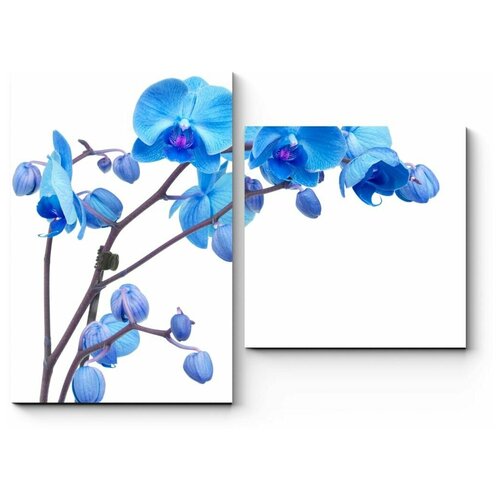 Модульная картина Орхидея небесного цвета40x30