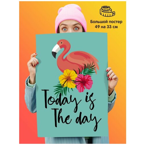 Постер Фламинго Today is the Day