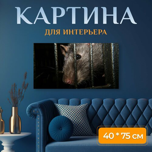 Картина на холсте "Крыса, грызун, голова" на подрамнике 75х40 см. для интерьера