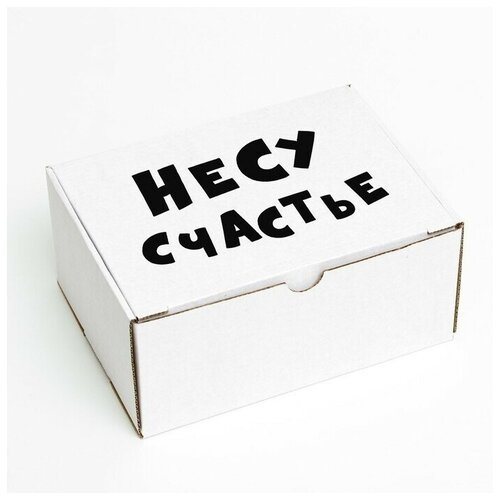 Коробка самосборная 'Несу счастье', 22 х 16,5 х 10 см