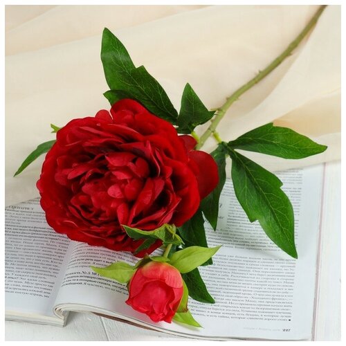 Poetry in flowers Цветы искусственные "Пион дуо" 12х60 см, красный