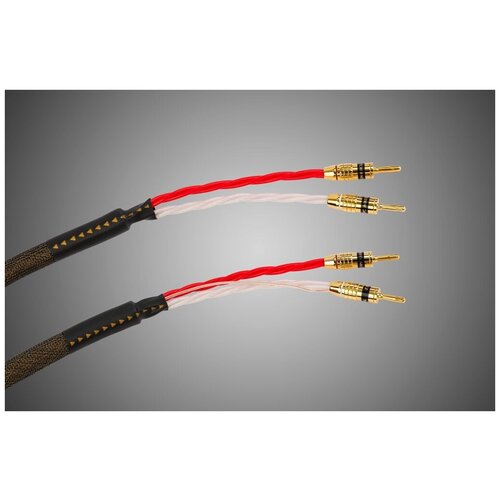 Tchernov Cable Reference DSC SC Bn/Bn (2.65 m)