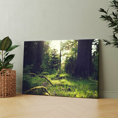 Картина на холсте (Лес с несколькими деревьями и травой) 40x60 см. Интерьерная, на стену.