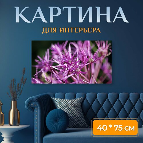 Картина на холсте "Цвести, цветок, лук" на подрамнике 75х40 см. для интерьера