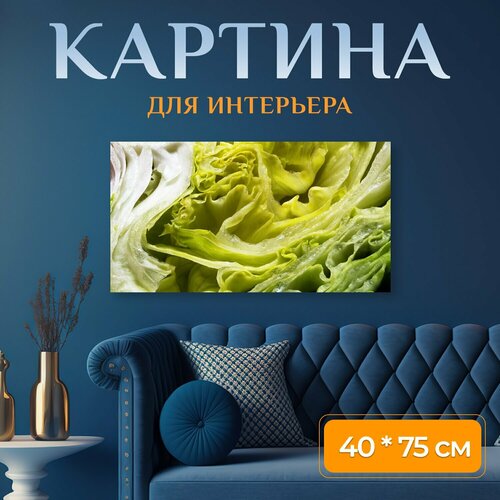 Картина на холсте "Латук, зеленый, овощи" на подрамнике 75х40 см. для интерьера