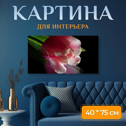 Картина на холсте "Тюльпан, розовый, цветок" на подрамнике 75х40 см. для интерьера