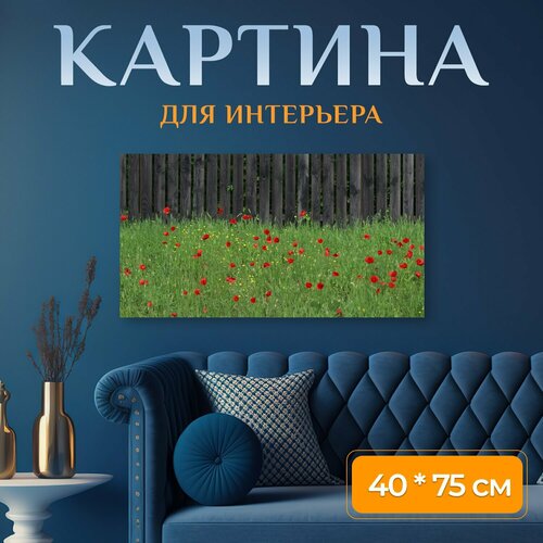 Картина на холсте "Маки, изгородь, красный" на подрамнике 75х40 см. для интерьера