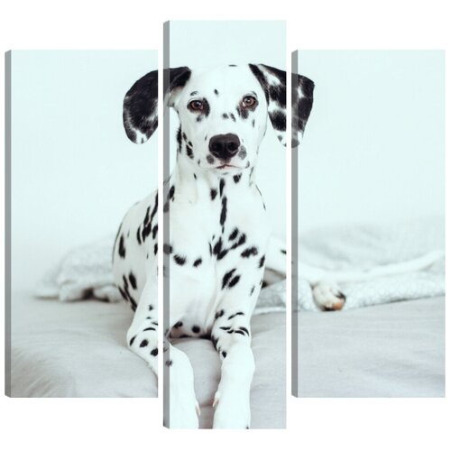 Модульная картина "Собака далматин". В спальню, гостиную, зал. PR-236 (76x70см). Натуральный холст
