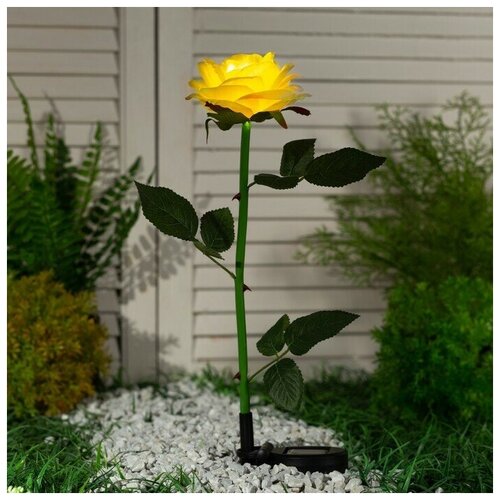 Фонарь садовый на солнечной батарее "Роза желтая" 75 см, 1 LED, белый