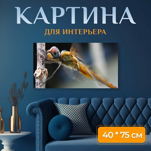 Картина на холсте "Стрекоза, насекомое, естественный" на подрамнике 75х40 см. для интерьера
