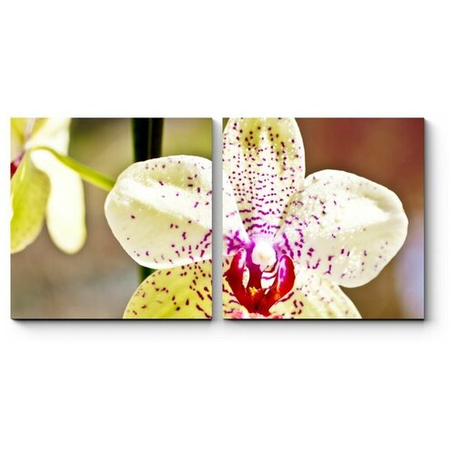 Модульная картина Тигровая орхидея 160x80