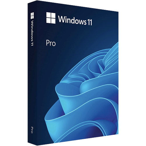 Программное обеспечение Microsoft Windows 11 Professional FPP (BOX) 64-bit English Int USB Flash Drive (HAV-00162)