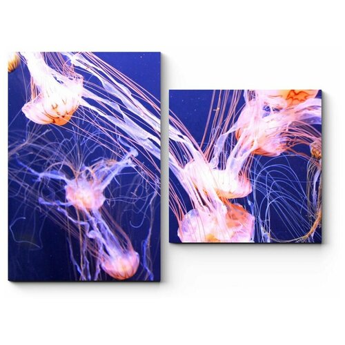 Модульная картина Очаровательные медузы80x60